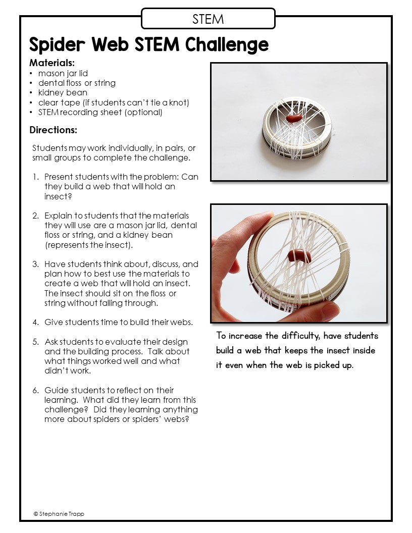 Spider STEM Activity Primary Theme Park