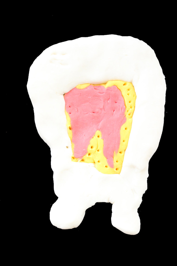 Parts of a Tooth Play-doh Model - Primary Theme Park