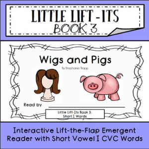 Lift-the-Flap Short Vowel Emergent Readers - Primary Theme Park
