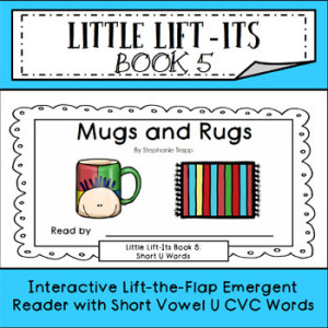 Lift-the-Flap Short Vowel Emergent Readers - Primary Theme Park