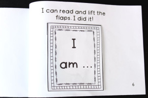 Lift-the-Flap Short Vowel Emergent Readers - Primary Theme Park