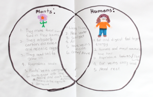 Plants Printables - Primary Theme Park