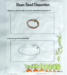 Plants Printables - Primary Theme Park