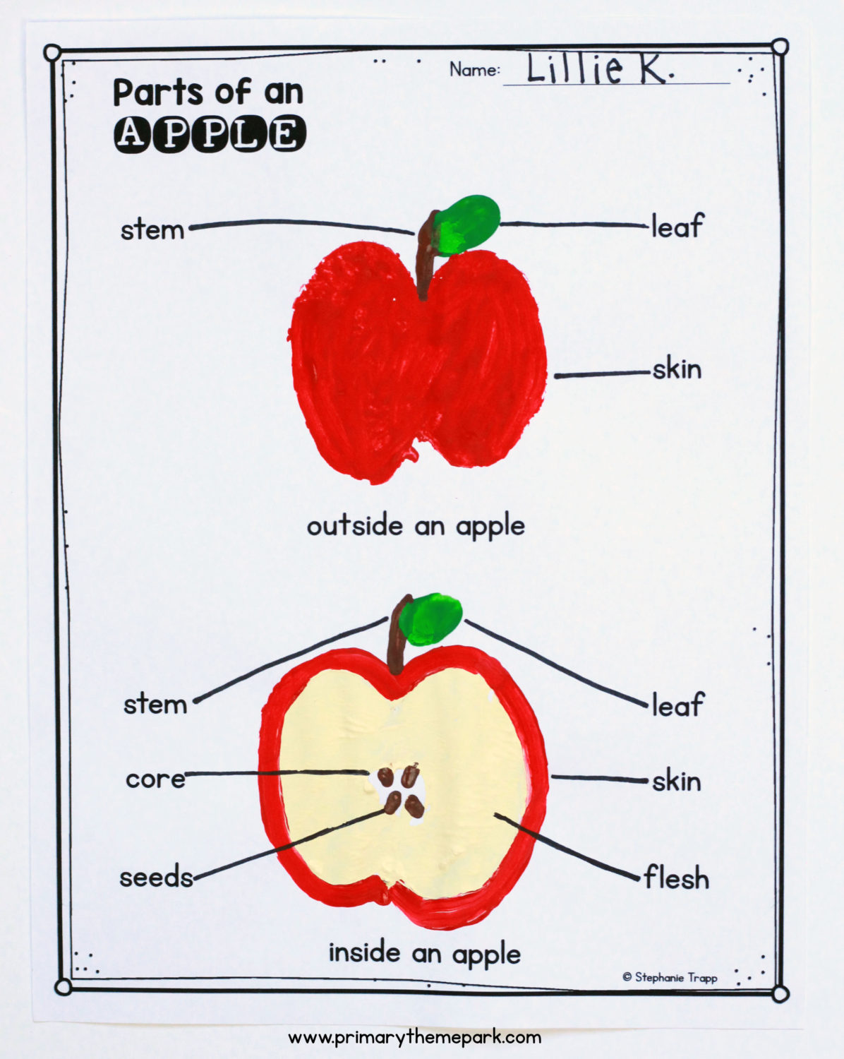 Apple Unit for Kindergarten and First Grade