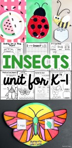 Insects Unit for Kindergarten and First Grade - Primary Theme Park