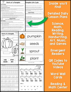Pumpkin Unit - Primary Theme Park