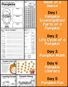 Pumpkin Unit - Primary Theme Park