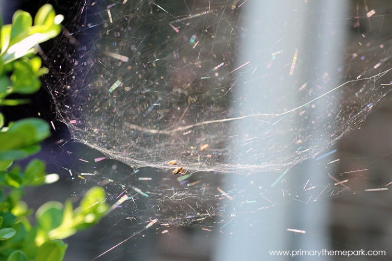 Spider Web Scavenger Hunt - Primary Theme Park