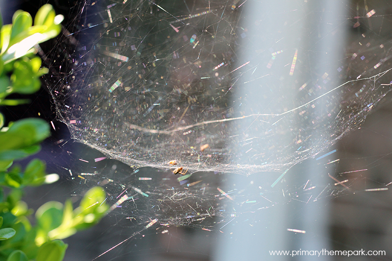 Spider Web Scavenger Hunt - Primary Theme Park