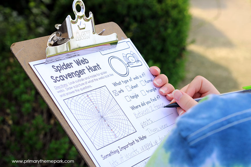 Spider Web Scavenger Hunt - Primary Theme Park