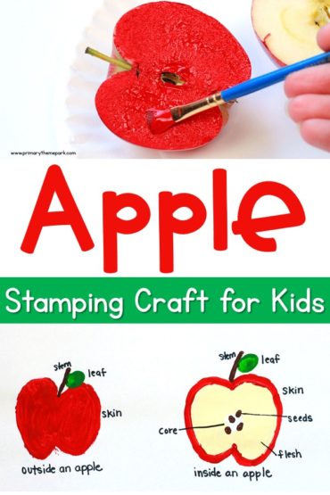 Parts of an Apple Craft - Primary Theme Park