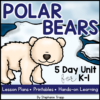 Polar Bear STEAM Activity - Primary Theme Park