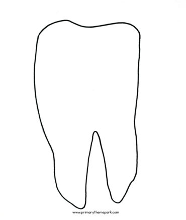 Parts of a Tooth Diagram - Primary Theme Park