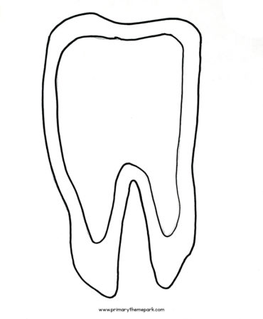 Parts of a Tooth Diagram - Primary Theme Park