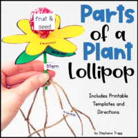 Parts of a Plant Activity - Primary Theme Park