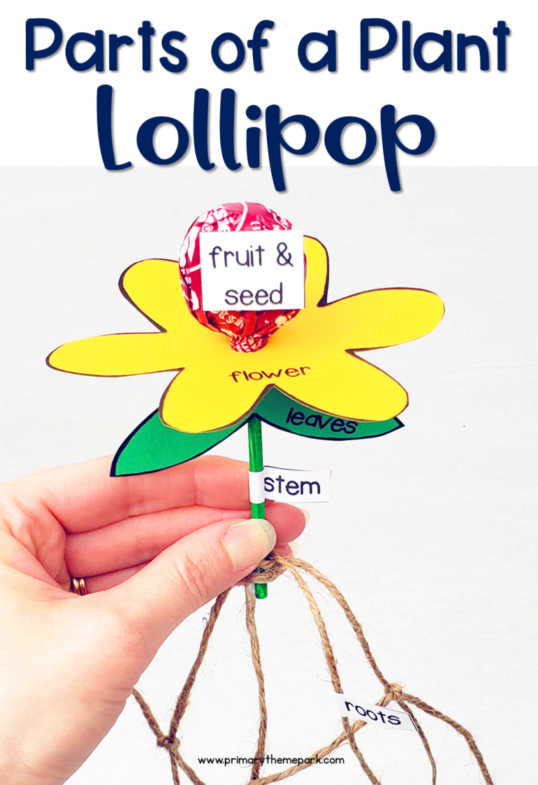 Parts of a Plant Craft - Primary Theme Park