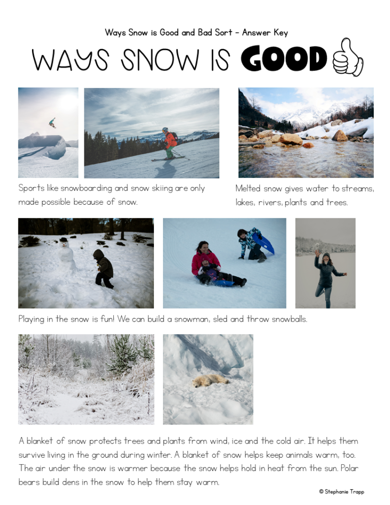 Snow Unit for Kindergarten and First Grade - Primary Theme Park